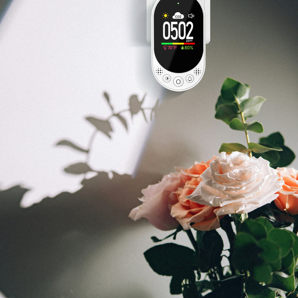 How to Calibrate a Carbon Dioxide (CO₂) Monitor – LSENLTY